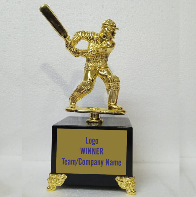Customized Cricket Trophies: Celebrate Cricket Triumphs